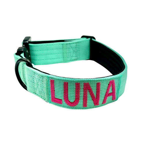 Custom Pro Collar ⭐Aqua Blue⭐ | Custom Collars